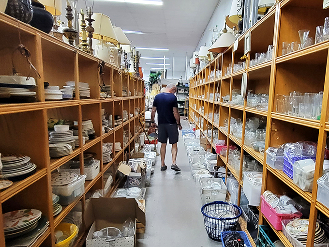 Thrift store explorer in his natural habitat! Watch as this intrepid bargain hunter navigates the canyons of crockery, seeking that elusive perfect plate.
