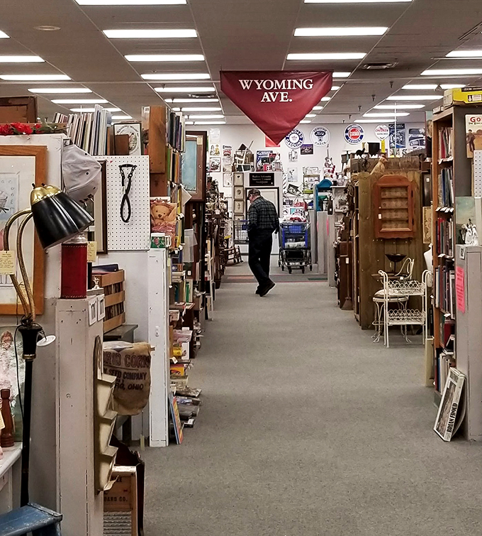 Treasure hunter in his natural habitat! Watch as this intrepid explorer navigates the Wyoming Ave wilderness, seeking that perfect piece of nostalgia.