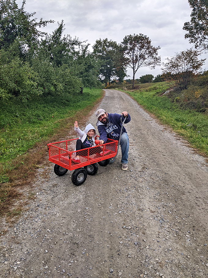 All aboard the apple express! This family's found the perfect way to cruise the orchard in style.