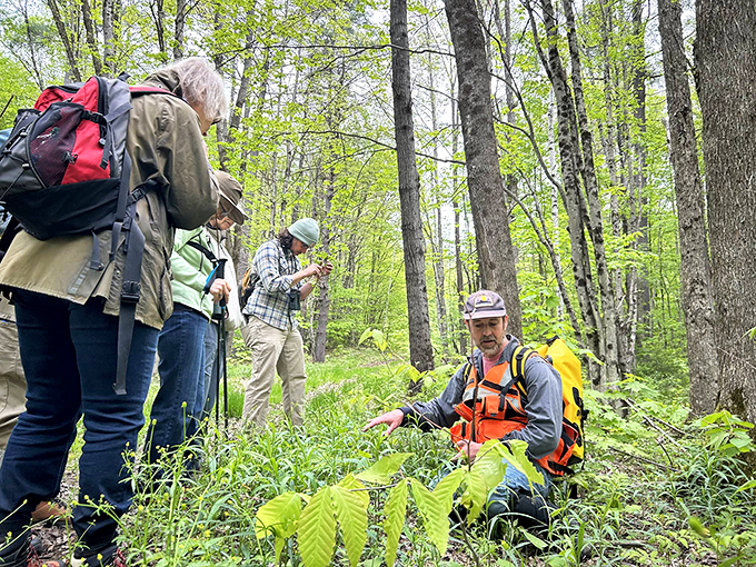 Explorers in their natural habitat! These intrepid adventurers are on the hunt for nature's secrets. Indiana Jones, eat your heart out.