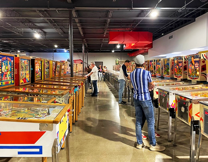 Pinball wizards in their natural habitat. Watch as they navigate the silver ball with the grace of a ballet dancer and the focus of a chess master.