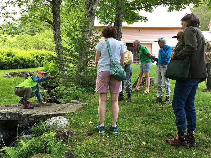 Nature's classroom in session! These visitors are getting a lesson in 19th-century botany, minus the itchy wool uniforms.