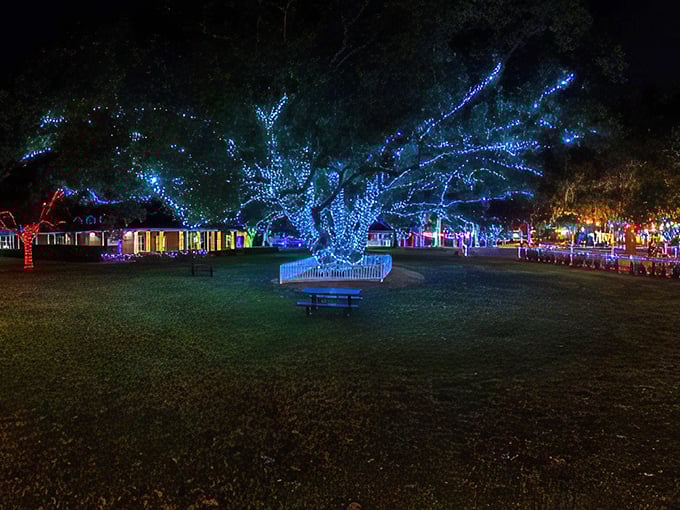 Christmas, Florida: Where every day is December 25th! This quirky town takes its name seriously with a year-round Christmas tree.