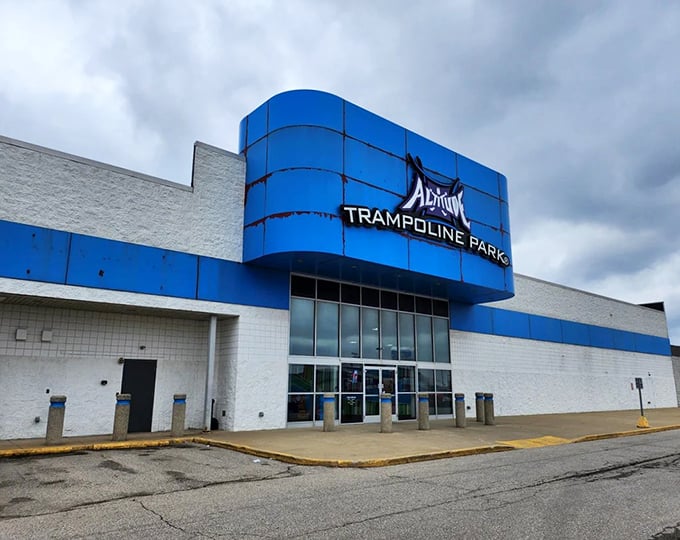 Reach new heights at Altitude – where "getting high" is totally family-friendly!