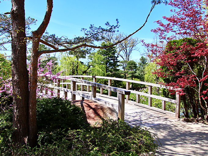 Anderson Japanese Gardens: Zen meets the Midwest in this meticulously manicured oasis. Suddenly, your backyard seems a lot less impressive.