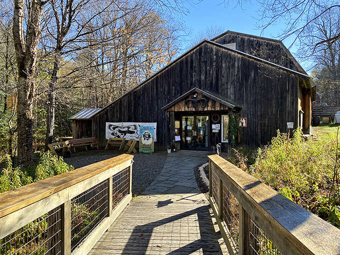 Who wood have thought? The Birds of Vermont Museum's lifelike carvings will have you tweeting with delight.