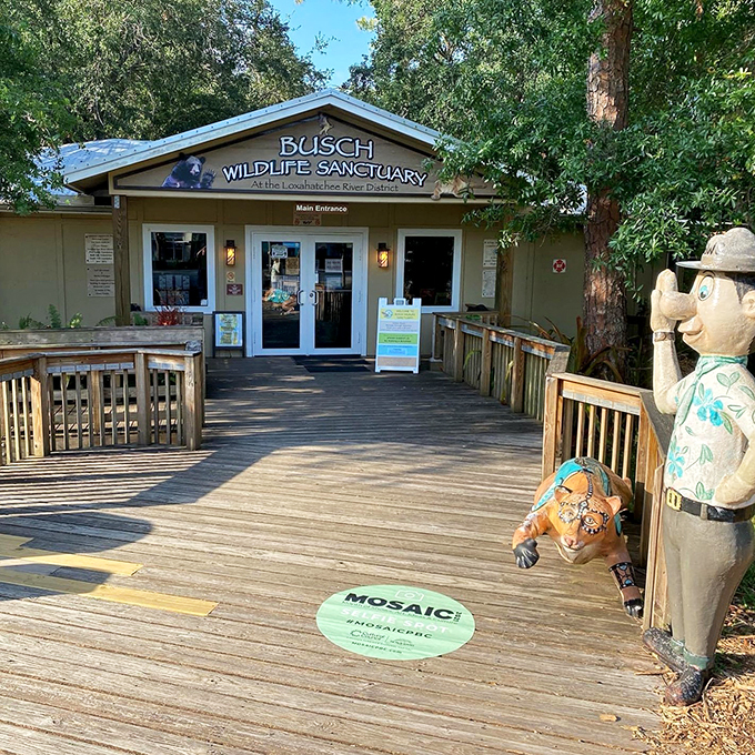 Welcome to the wild side of Jupiter! No spacesuits required, just a sense of adventure.