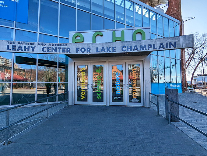 Shore up your knowledge at this lakeside gem! It's the perfect pitstop for curious travelers and budding marine biologists.