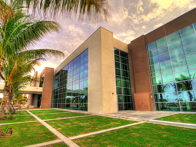 Cars, baseball, and art, oh my! This museum is like your grandpa's attic, if your grandpa was a renaissance man with great taste.