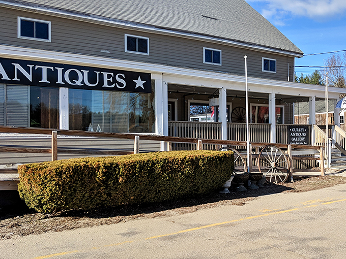 Detour alert! Gurley Antiques Gallery is the refined rest stop your road trip didn't know it needed.