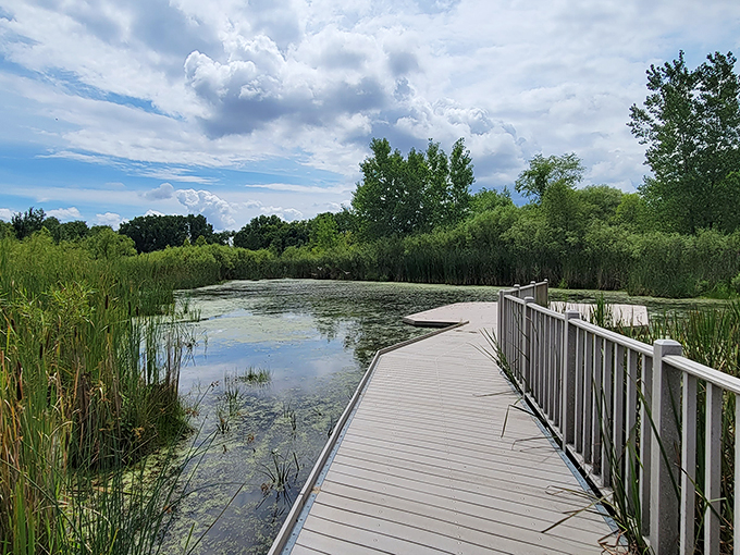 Havenwoods: Milwaukee's secret garden. It's like finding Narnia in your backyard, minus the talking beavers and eternal winter.