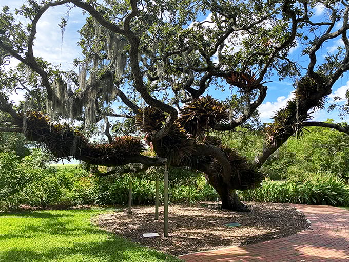 Marie Selby Botanical Gardens: "Water you looking at? This serene pond reflects more than just clouds &ndash; it mirrors pure Florida magic."