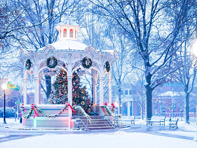 Medina's town square: Where every tree competes for the "Most Festive" award. The real winner? Your Instagram feed.