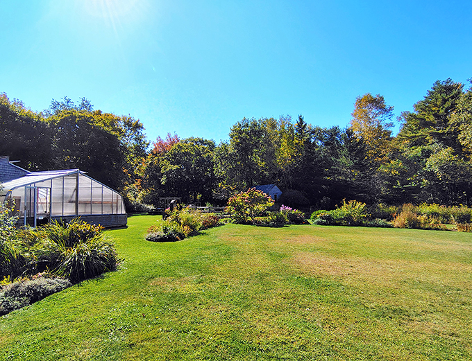 Educational detour ahead! Fuel up on flora facts at this roadside repository of natural wonders.