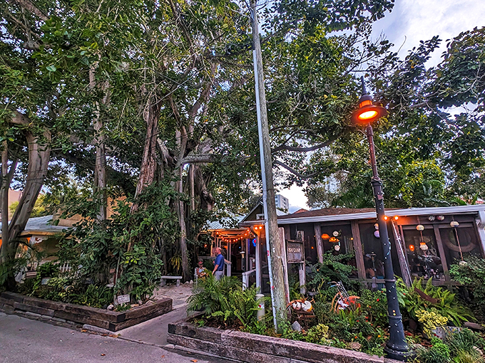 Owen's Fish Camp: Where Huckleberry Finn meets gourmet fins. This treehouse of seafood dreams will have you hooked!