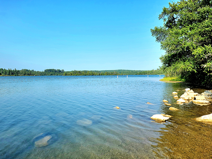 Rifle River: Nature's lazy river ride! Grab a tube and let the gentle current guide you through this picturesque aquatic playground.