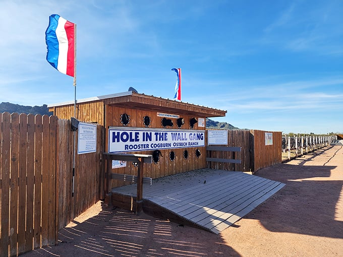 Old MacDonald never had it this good! Feed deer, pet goats, and come beak-to-nose with ostriches in this desert menagerie.