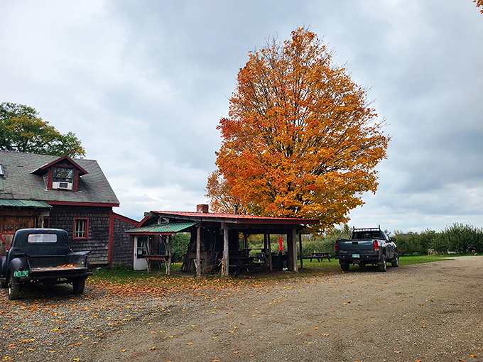 Navigate your way to nirvana! This orchard offers a scenic detour with a spirited twist.