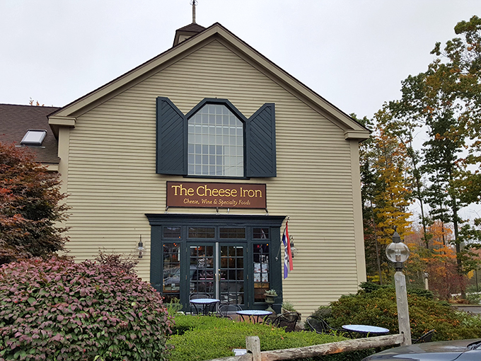 Cheese the day at this gourmet pit stop, where every bite is a taste-bud road trip.