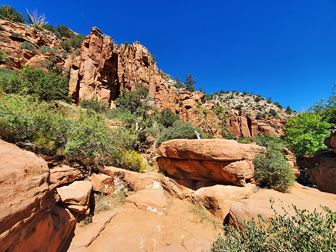 Red rocks frame azure waters. It's like jumping into a perfect Arizona postcard.