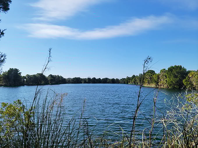 Take the scenic route to paradise! Three Sisters Springs is the ultimate rest stop for humans and manatees alike.