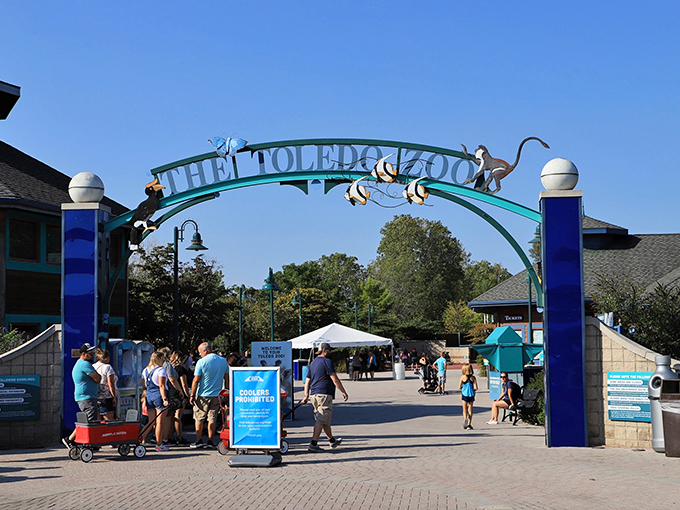 "Grand entrance or time travel? Toledo Zoo's archway promises a wild adventure &ndash; no DeLorean required."