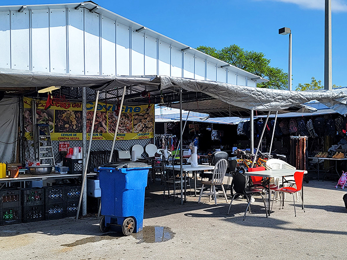 Step right up to the greatest show on earth... or at least in Miami. It's a three-ring circus of deals!