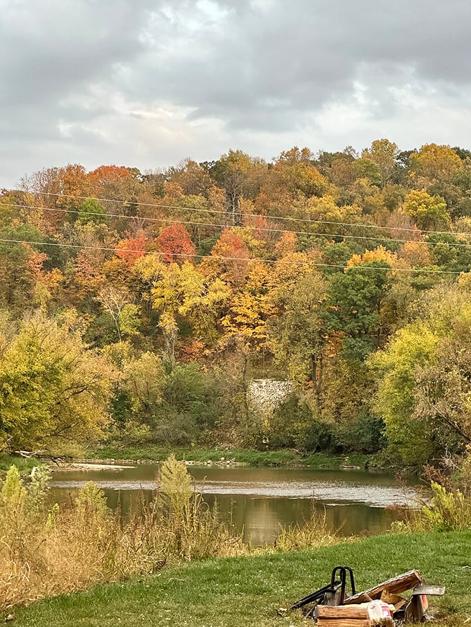 Trade your car for a canoe and navigate the twists and turns of the Whitewater River.
