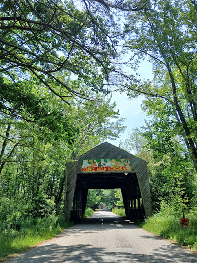 Unexpected jungle ahead! York's Wild Kingdom's entrance marks your transition from road warriors to wildlife explorers.