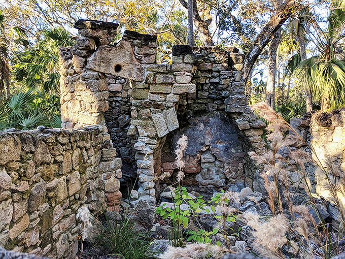 Stone sentinels of the past. Coquina walls stand guard, refusing to surrender to nature's persistent embrace.