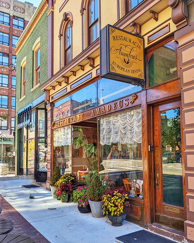 Amadeus Restaurant: Bringing a slice of Austria to Ann Arbor. Come for the goulash, stay for the feeling you've stumbled into a 19th-century Viennese cafe.