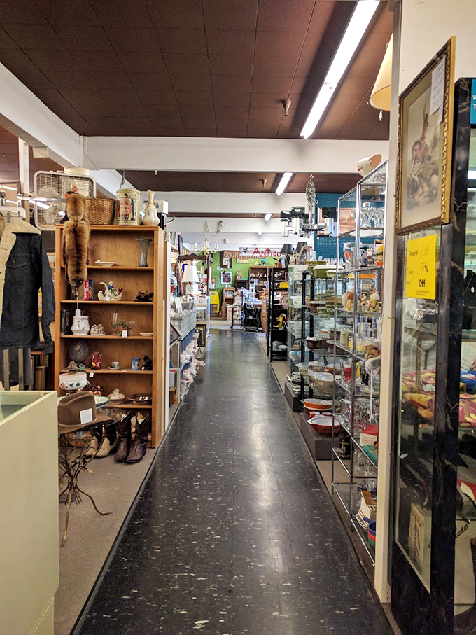 Scottsdale's own Narnia wardrobe, minus the talking animals. Step in for a lamp, step out with a whole new (old) living room!