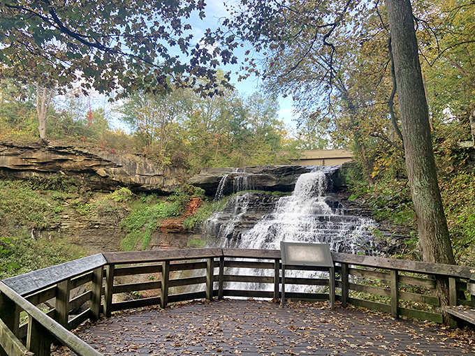 Brandywine Falls: Where water does the cha-cha down a geological staircase. No dance lessons required for viewers.