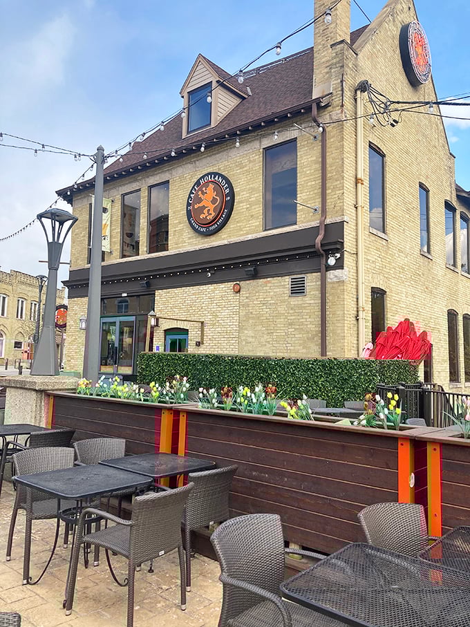 Bicycles on the ceiling, brews in the glass: Cafe Hollander pedals Dutch charm with Midwest hospitality.