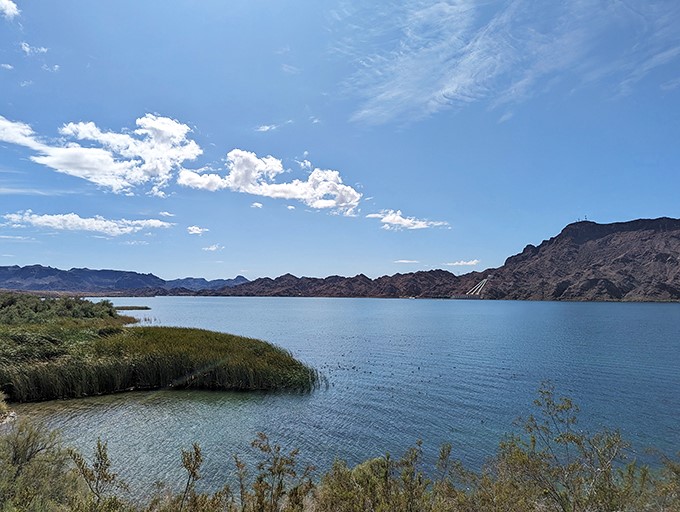 Road trip rule #1: Always stop for a secret beach. This one's a real page-turner in your travel story!