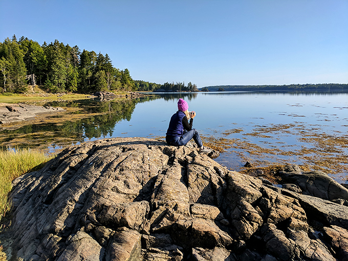 Coastal exploration made easy. Cobscook offers front-row seats to nature's daily drama.