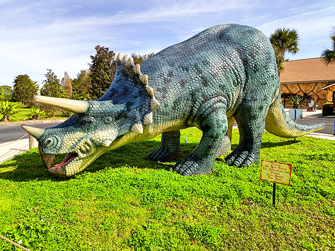 T-Rex selfies and modern-day reptiles? This park is where the Stone Age meets the Instagram age, minus the whole 'getting eaten' thing.