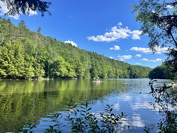 Nature's perfect mirror: Reflections so clear, you'll wonder which way is up. (Hint: Trees don't grow underwater.)