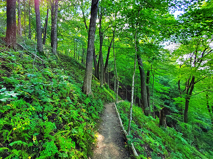 Bluff-top bliss at Frontenac. Drink in panoramic views that'll make you feel like you're on top of the world.
