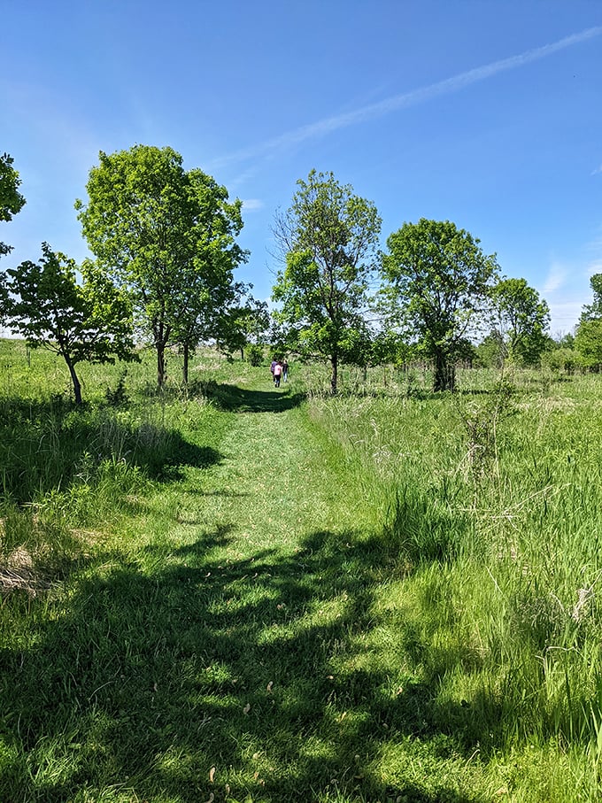 Urban explorers, unite! Havenwoods is your concrete jungle escape hatch. No passport required for this wilderness adventure.