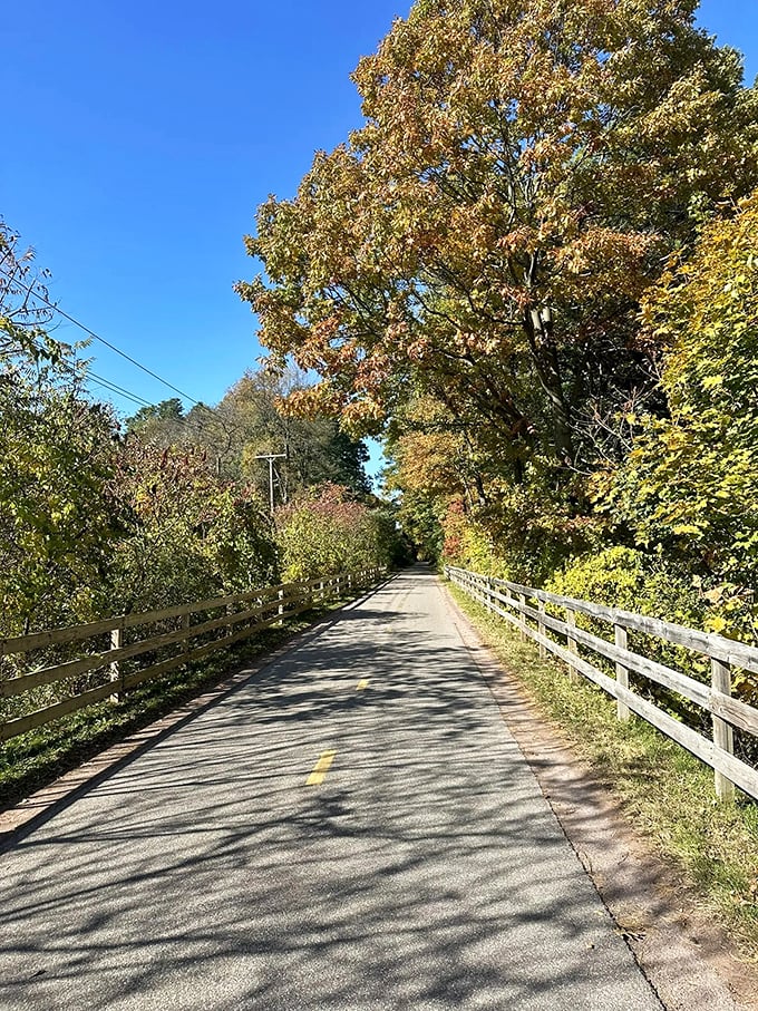 Lake views so good, you might forget to pedal.