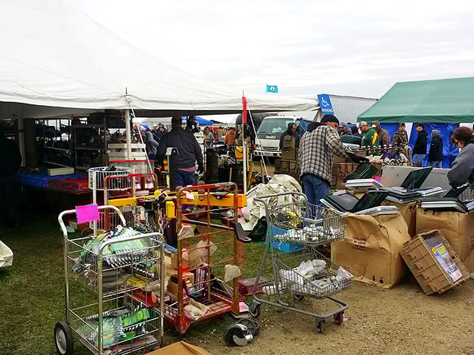 From cozy scarves to psychedelic shawls, this woolly wonderland is where knitting dreams come true.