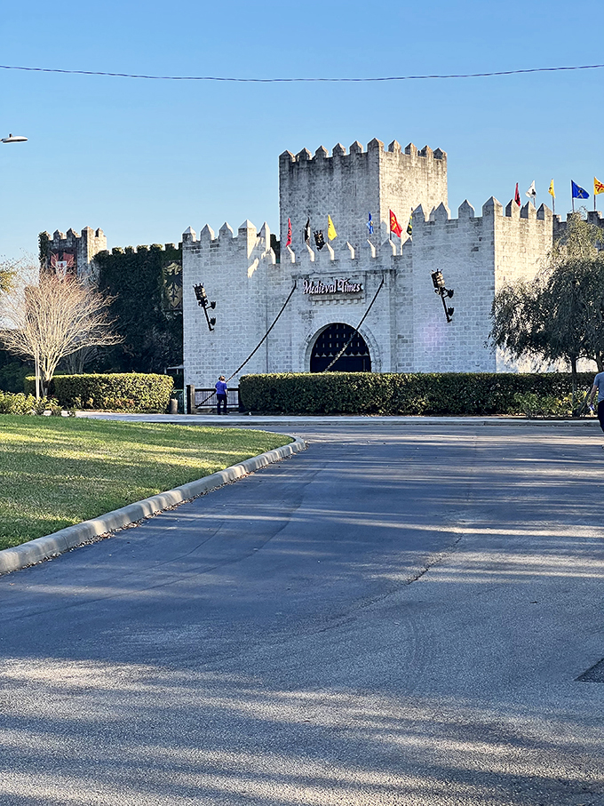 Jousting and drumsticks and kings, oh my! It's dinner theater with a medieval twist. Prepare for anachronistic fun!