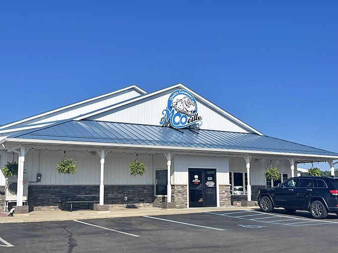 From pasture to palate: This dairy dreamland is where milkshakes are born and taste buds rejoice.