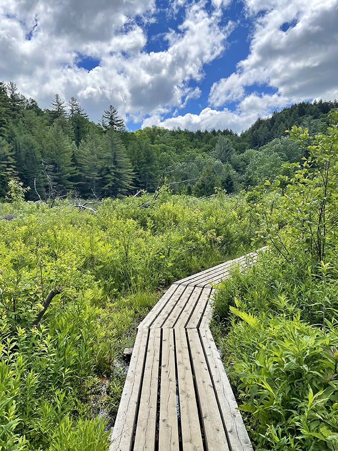 Tumbling water meets verdant moss in a scene so picturesque, it puts postcards to shame.