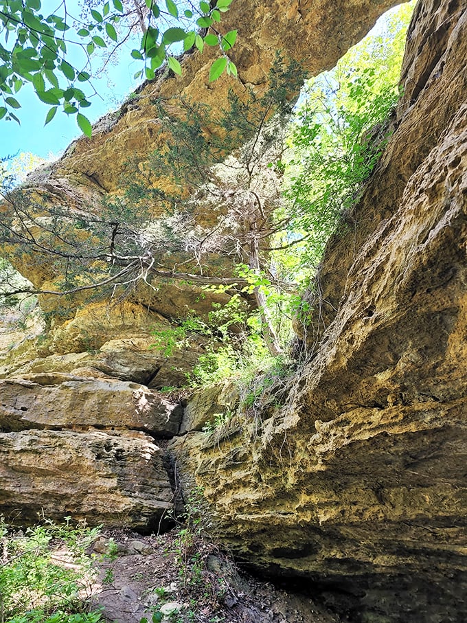 Walk under a rock rainbow and explore a shelter that's been hip for 10,000 years.