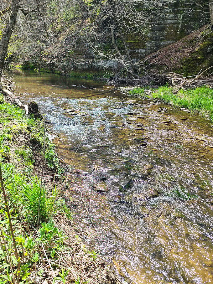 The way sunlight filters into this rocky gorge creates shadows and highlights that no fancy camera filter could ever reproduce.