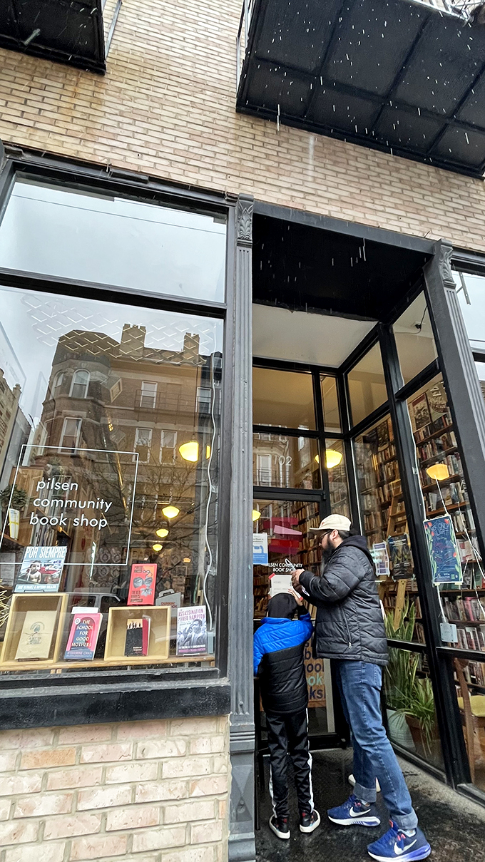 "Take the scenic route through Pilsen's shelves. Every book is a new destination for your brain."