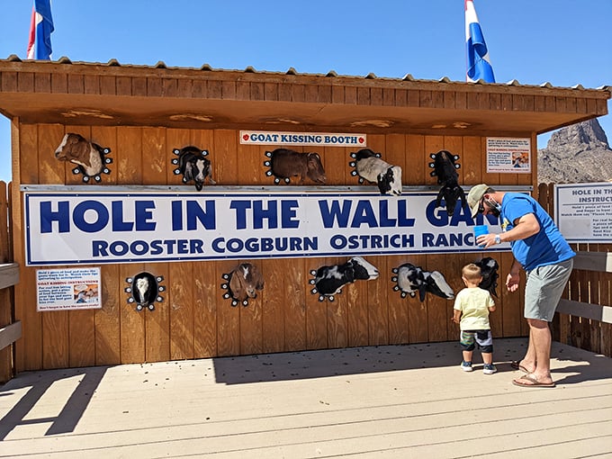 Meet the "Hole in the Wall Gang" &ndash; a lineup of animal heads eagerly awaiting your offerings. It's feeding time at the zoo!