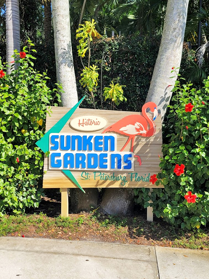 Jurassic Park, but make it floral. This lush pathway looks ready to host the next blockbuster adventure movie.